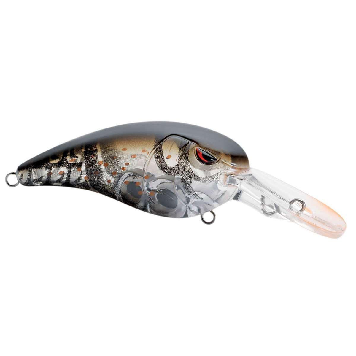 Collections – Georgia Lure