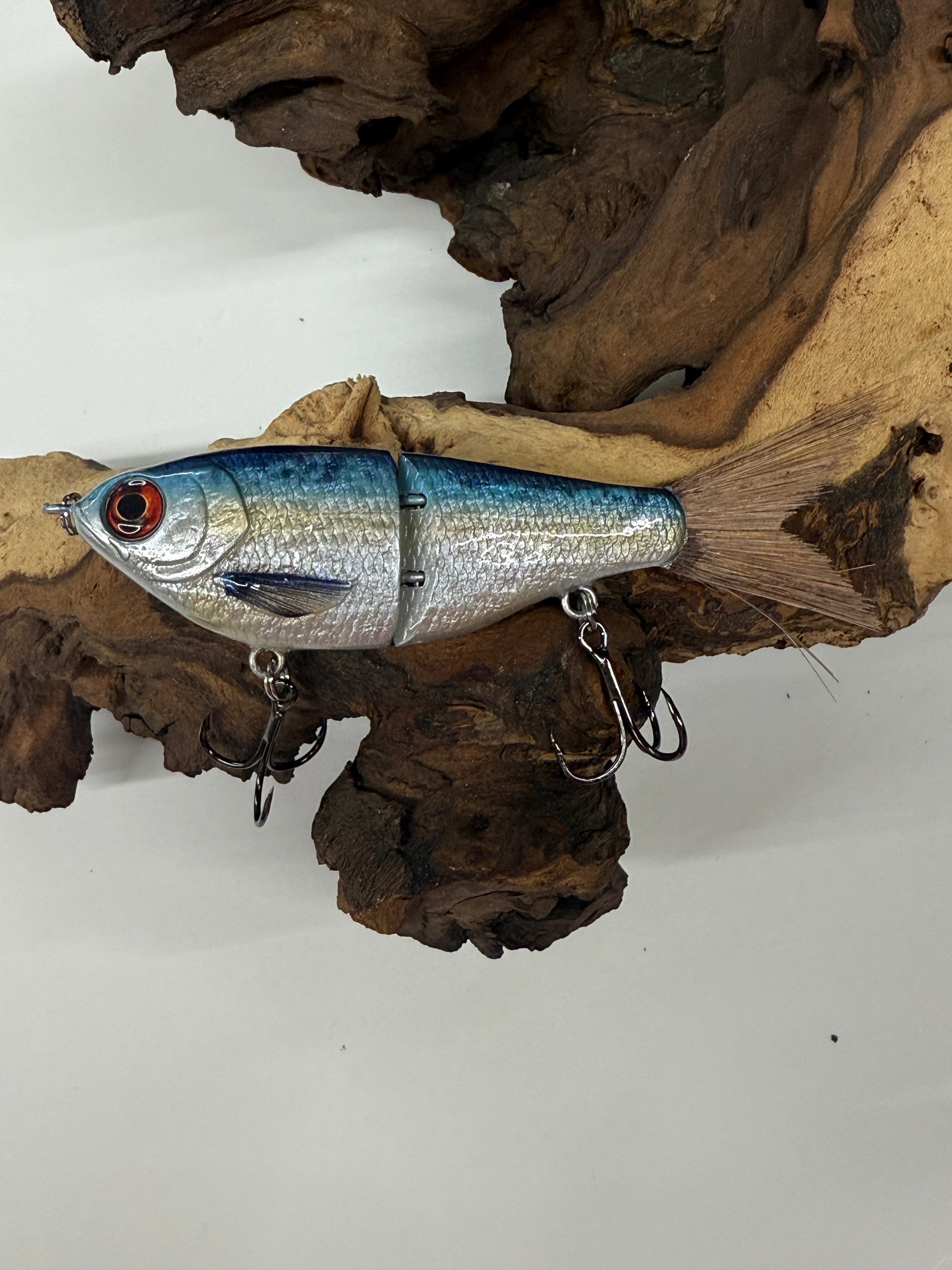 7" Big Belly Sexy Shad – Georgia Lure